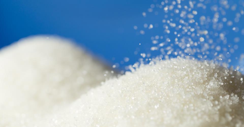 Semoulerie Fleurance - EKIBE